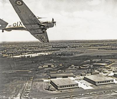 A Harvard training aircraft