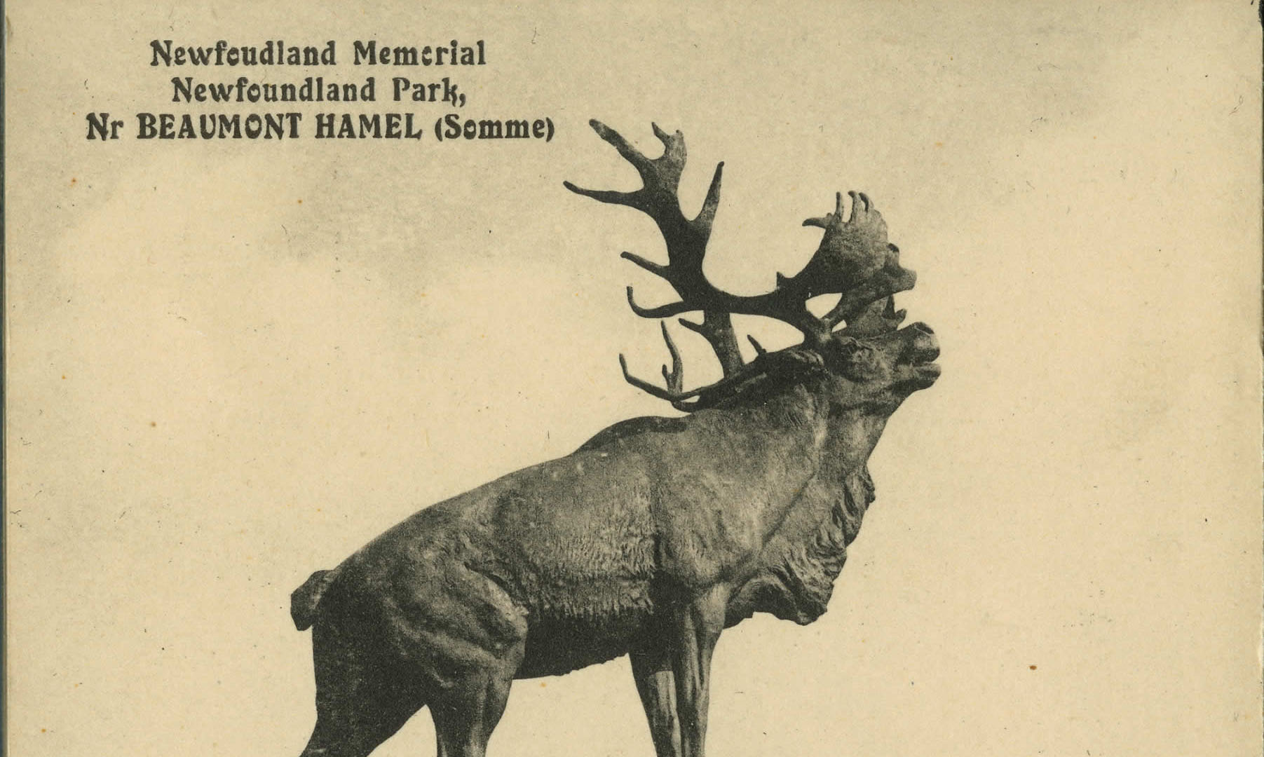 Remembrance - Beaumont Hamel Newfoundland Memorial | Canada and the ...